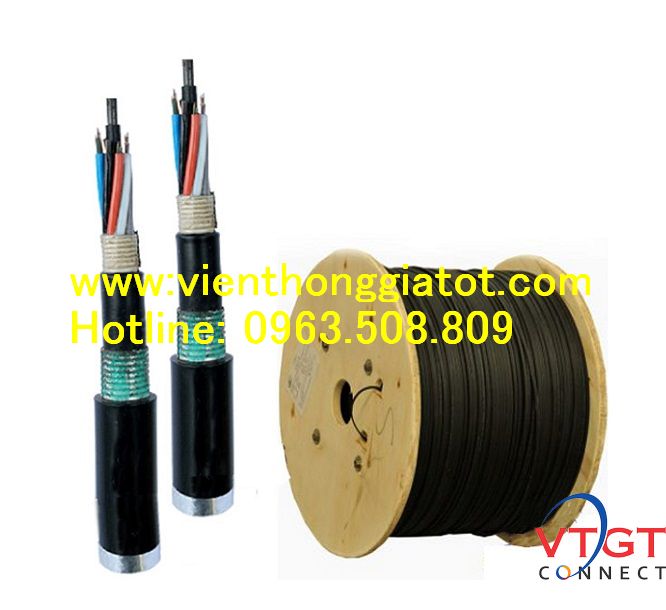 Cáp quang 8F LS Singlemode